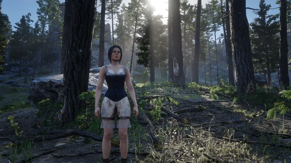 荒野大镖客2阿比盖尔的新衣服mod下载v1.0-荒野大镖客2mod-玩家动力