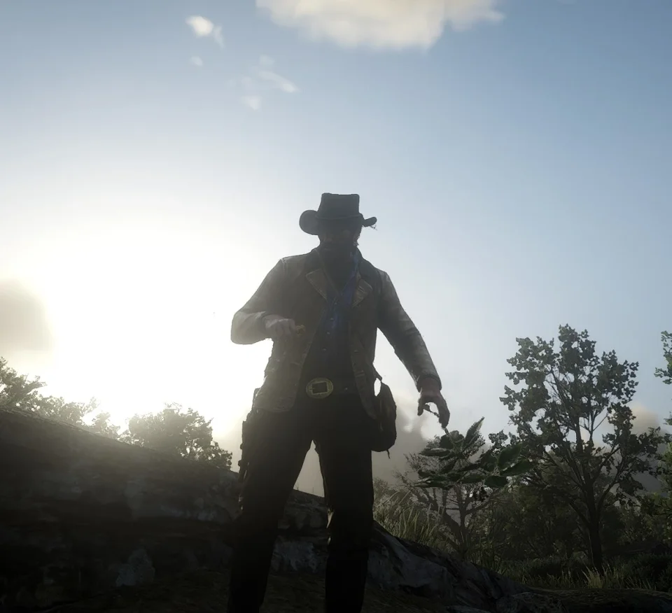 荒野大镖客2逼真的重新着色预设mod下载v1.0-荒野大镖客2mod-玩家动力