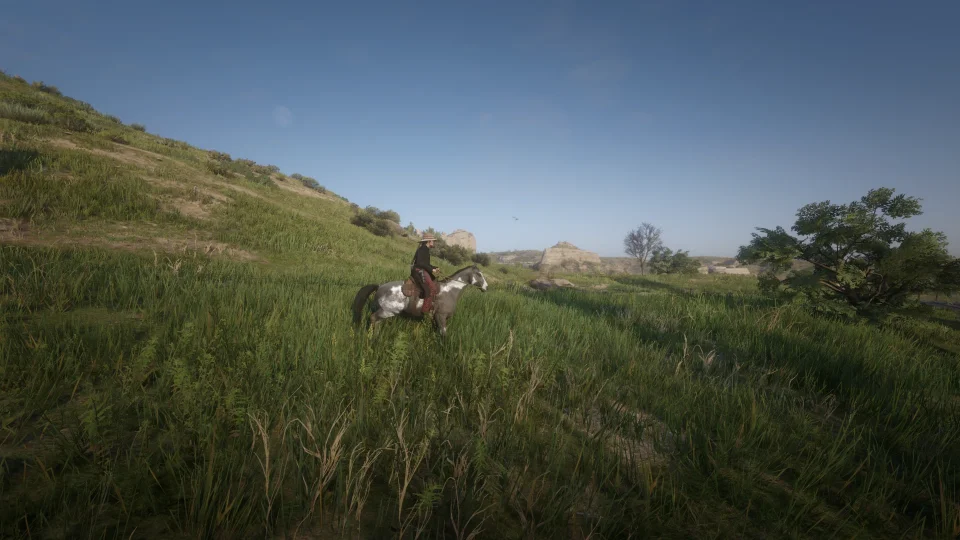 荒野大镖客2周围的女牛仔mod下载v1.0-荒野大镖客2mod-玩家动力